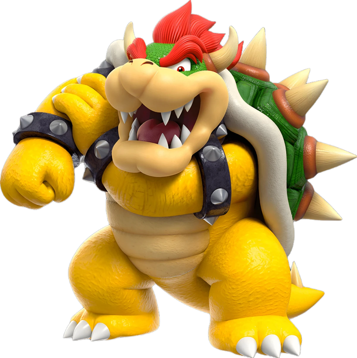 Bowser :: Introduction